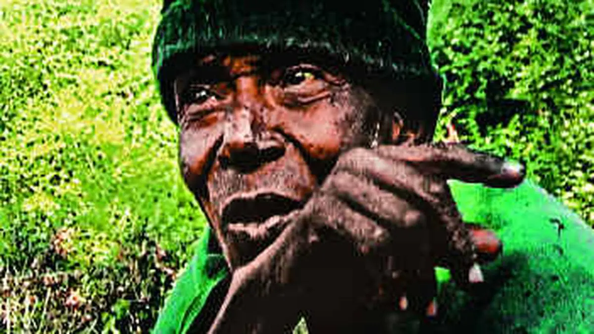 Saga of survival - Frontline