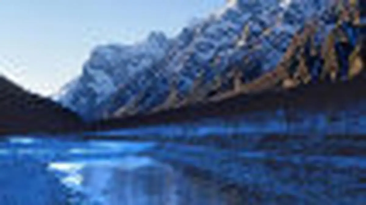 Withering heights - Frontline