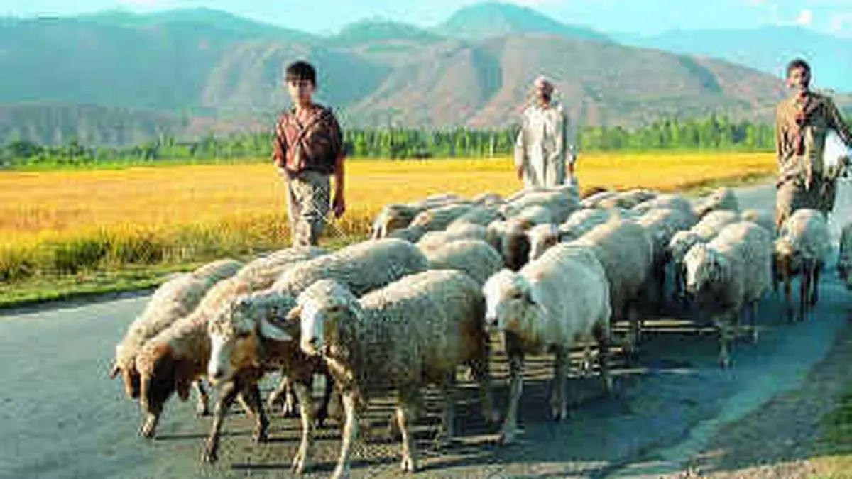 A struggle for survival - Frontline