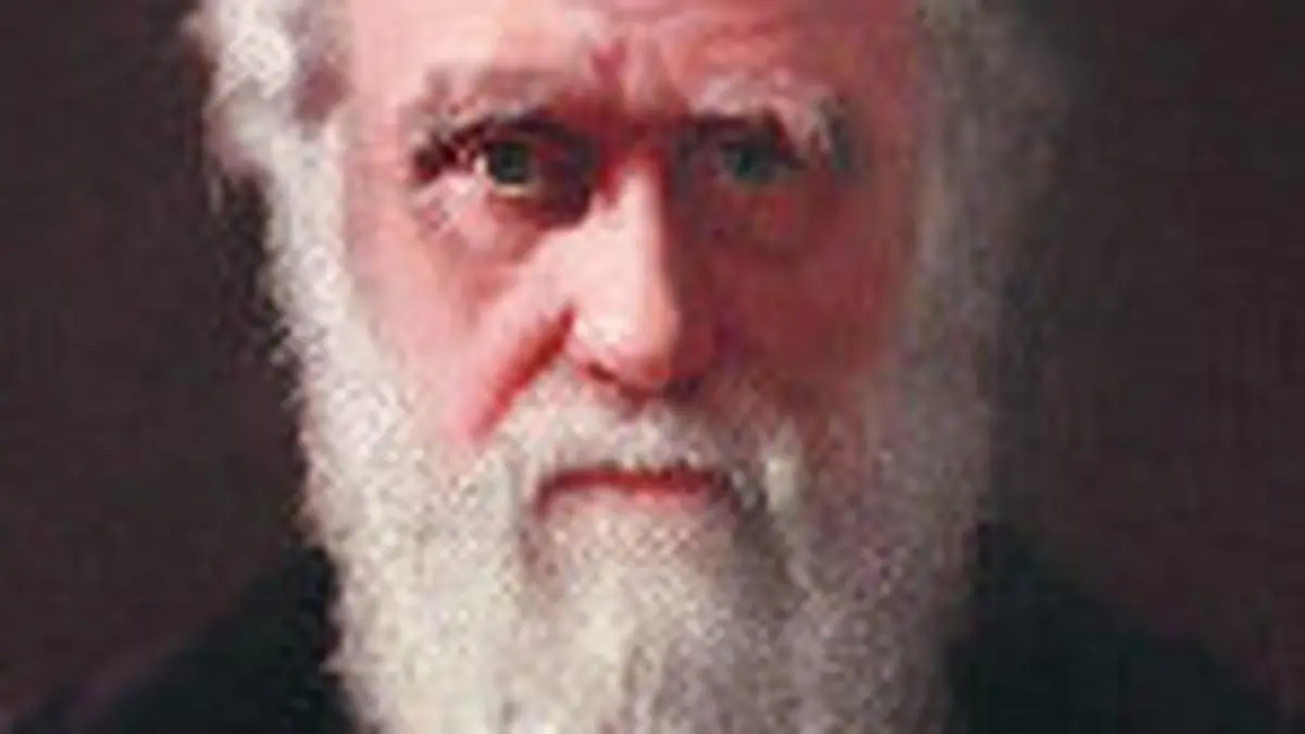 Knowing Darwin - Frontline