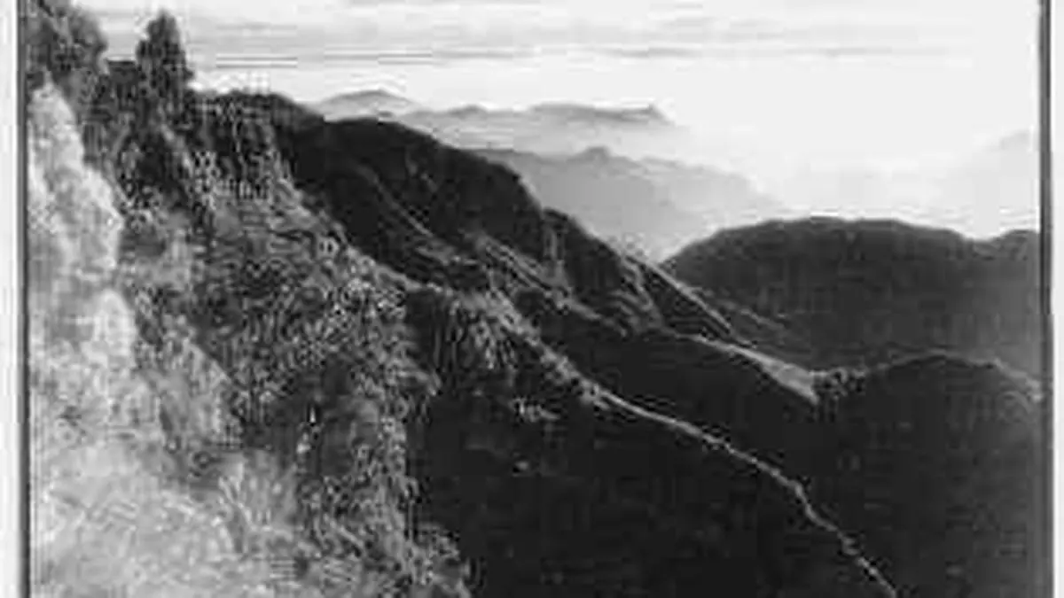 On the danger list - Frontline