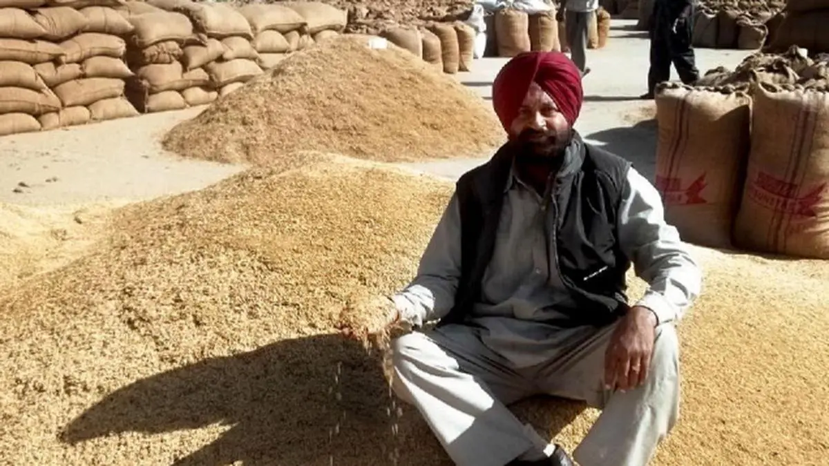 Green turns red - Frontline