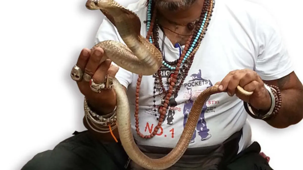 Snake man - Frontline