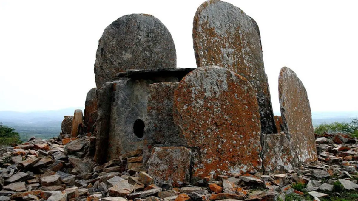 Urban invasion - Frontline