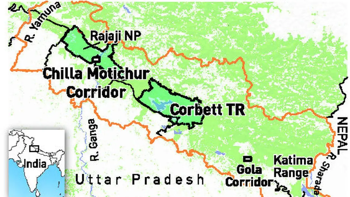 In Jim Corbett landscape - Frontline