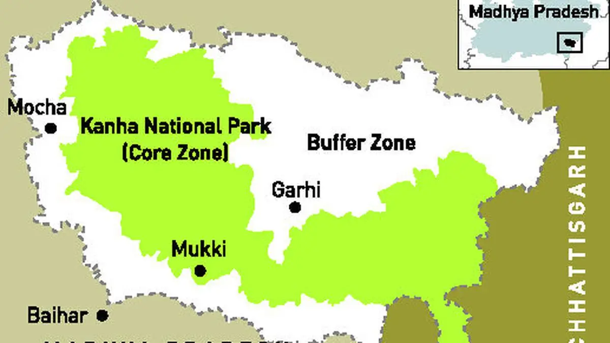 Learning to live with tigers and leopards in Kanha - Frontline