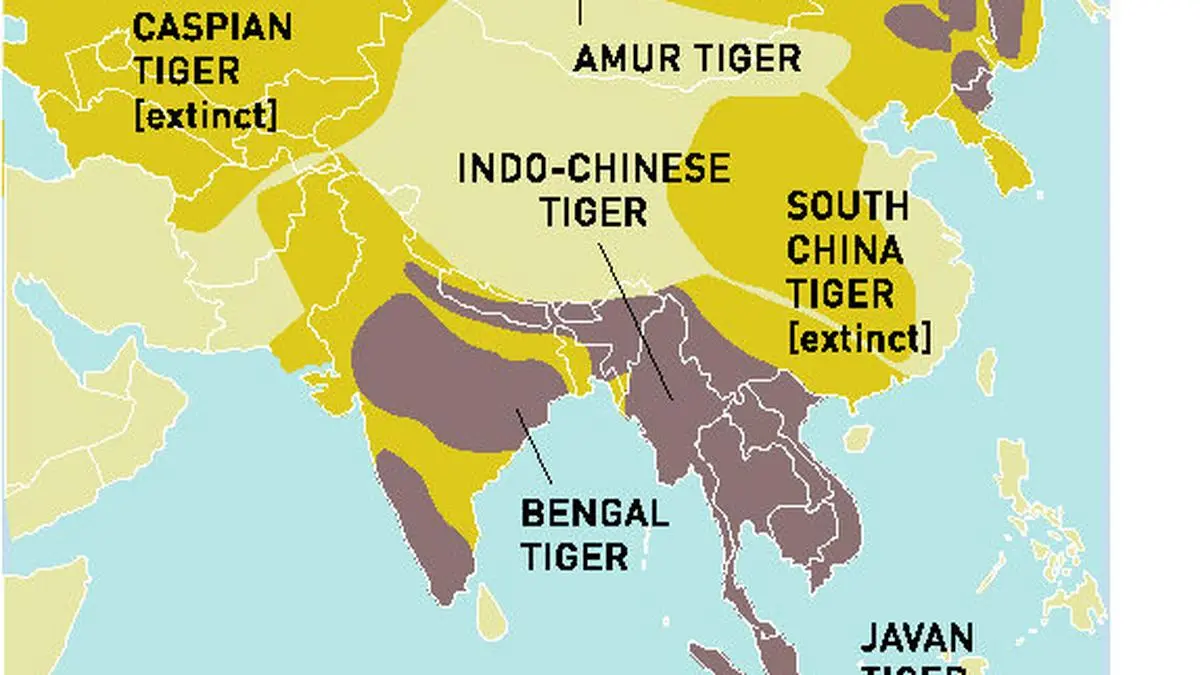 The tiger in its habitat - Frontline