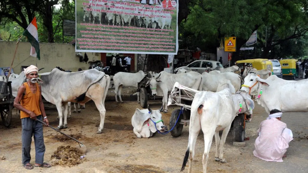 Messing with food habits - Frontline