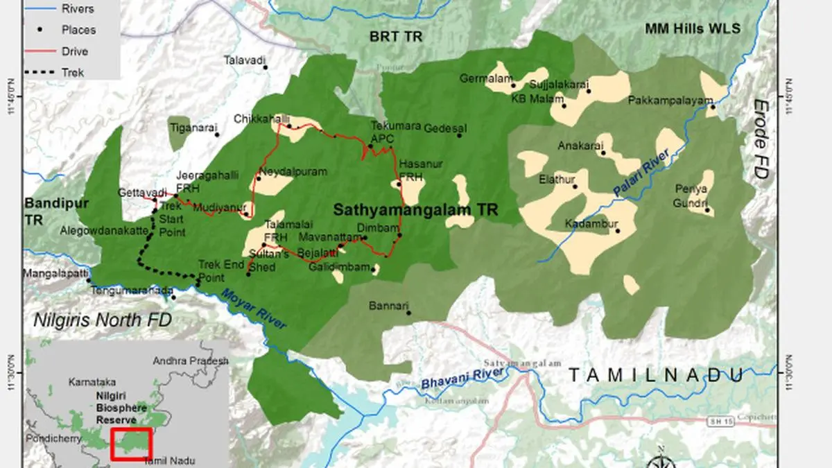 A trek in the reserve - Frontline