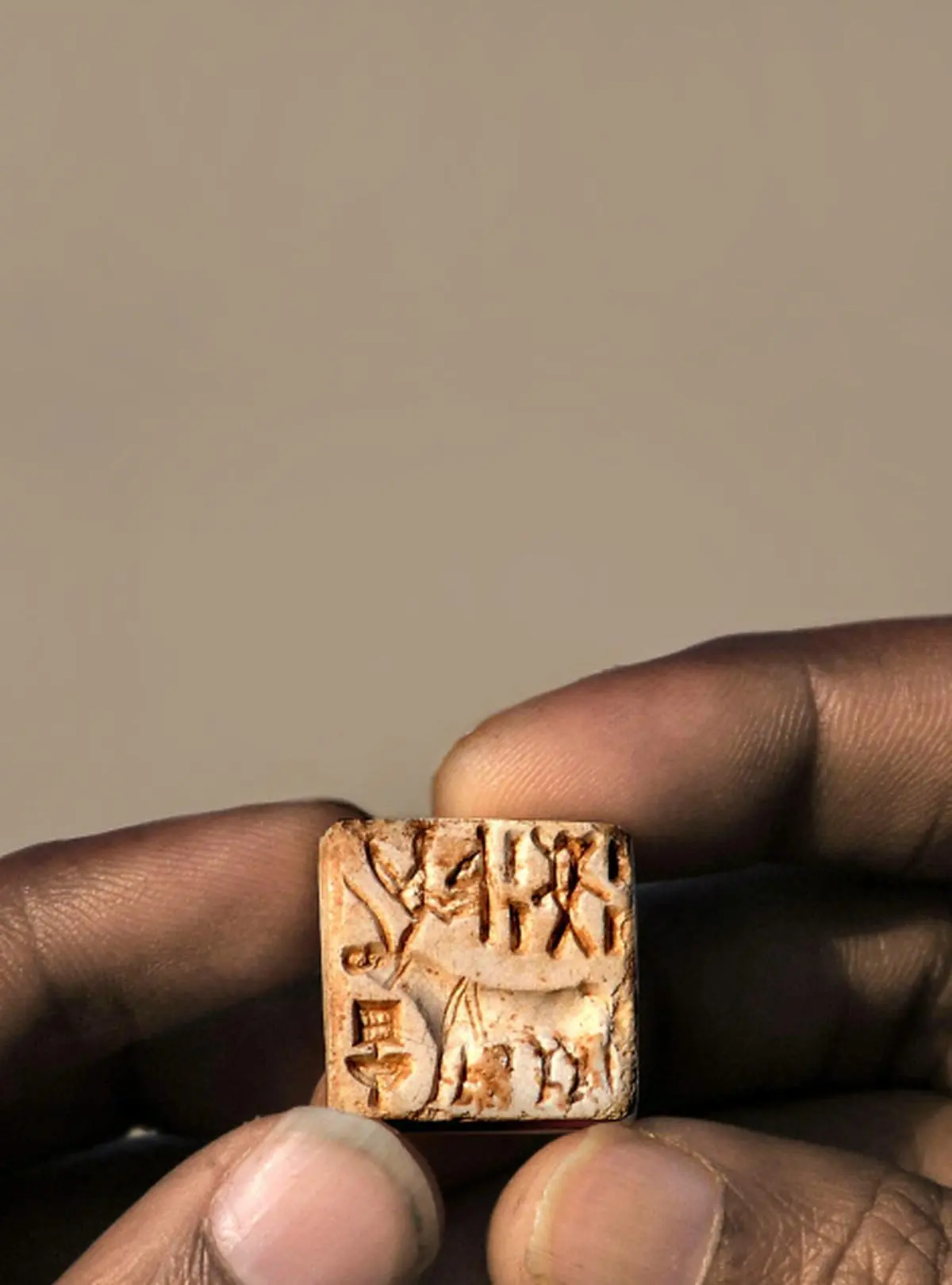 A new Harappan site - Frontline