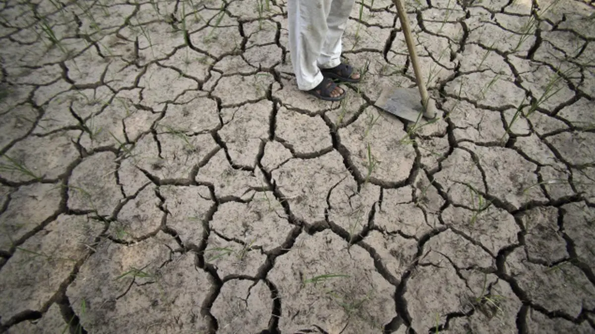 Rural distress - Frontline