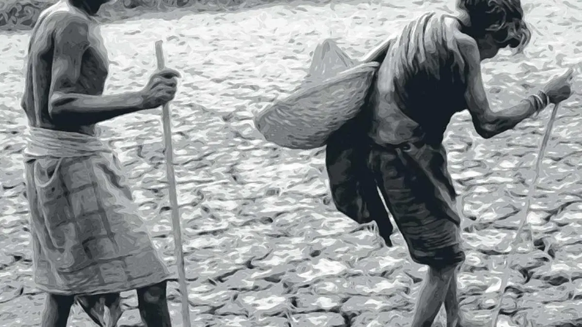 rural distress - Frontline