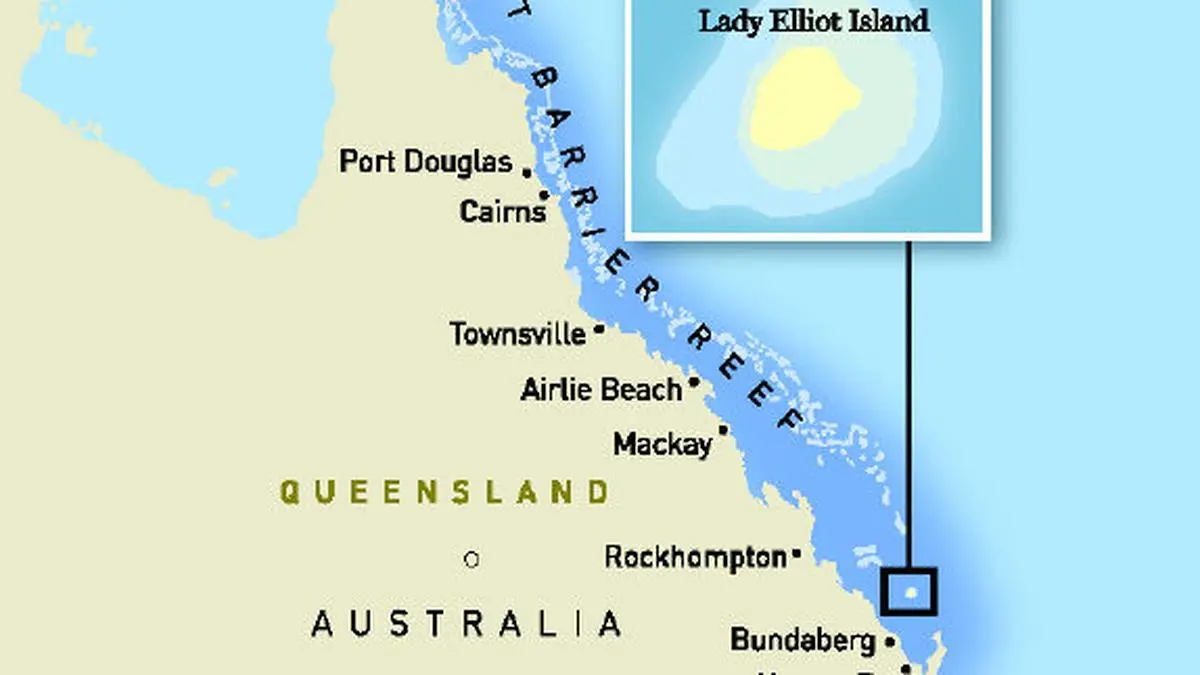 A guide to Lady Elliot Island - Frontline