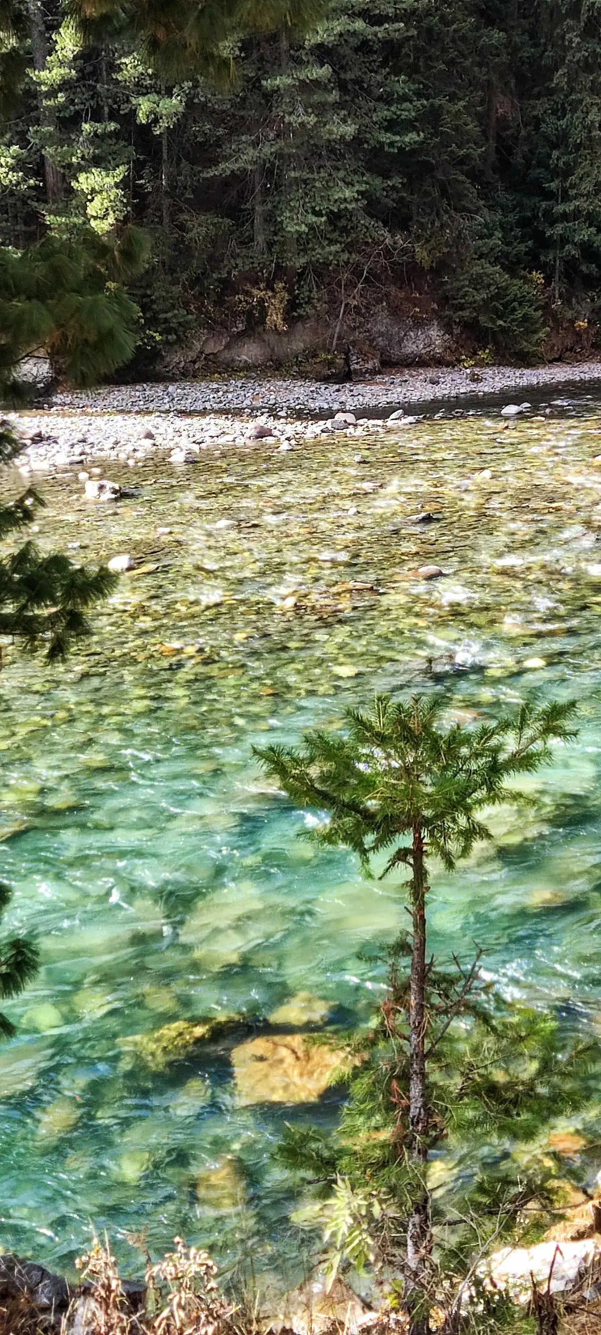 Kashmir’s Gurez Valley, with its bucolic charm, might soon emerge as a ...