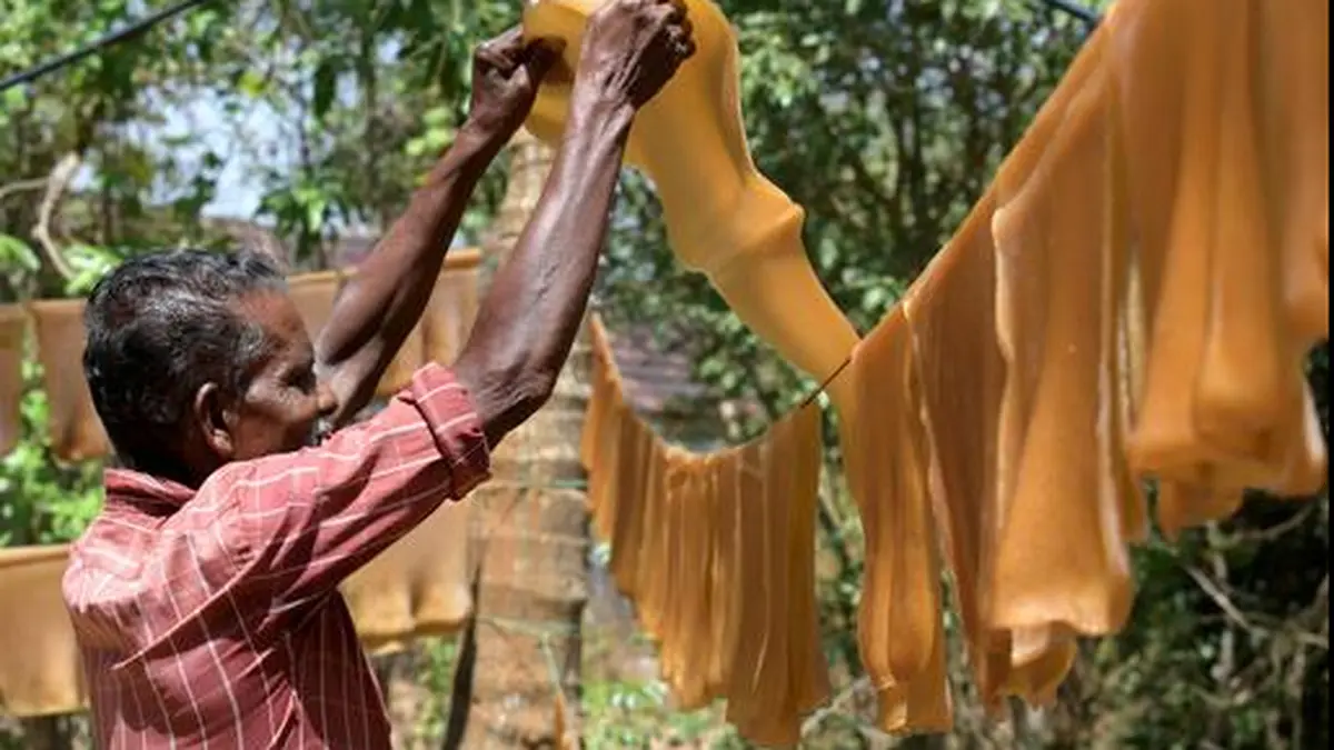 Natural rubber products: Untapped area - Frontline
