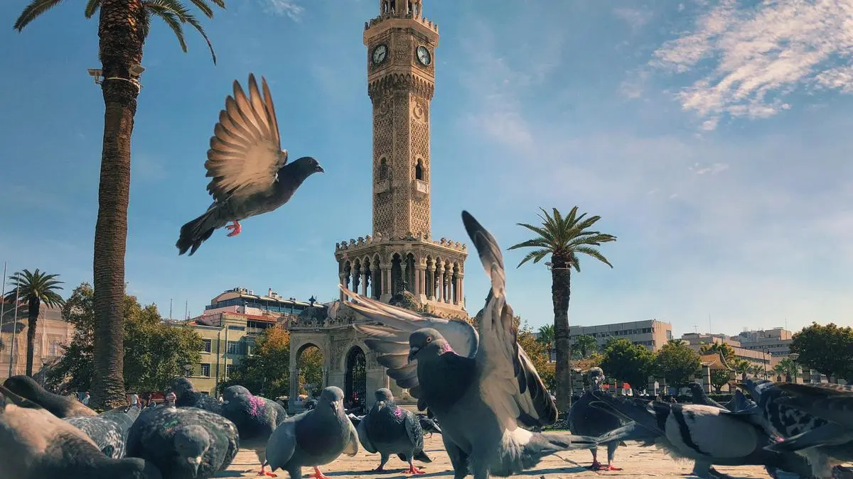 Turkish Novel “Izmirli” Blurs Reality and Politics - Frontline