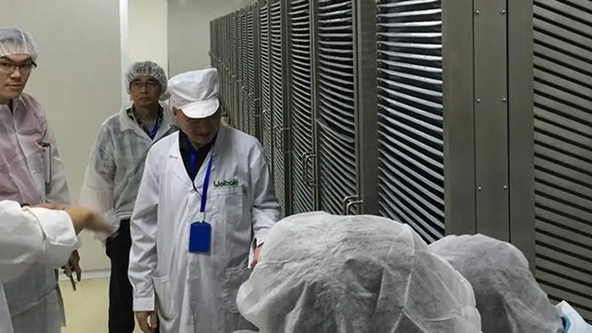 Suppressing mosquito population by nuclear technique - Frontline