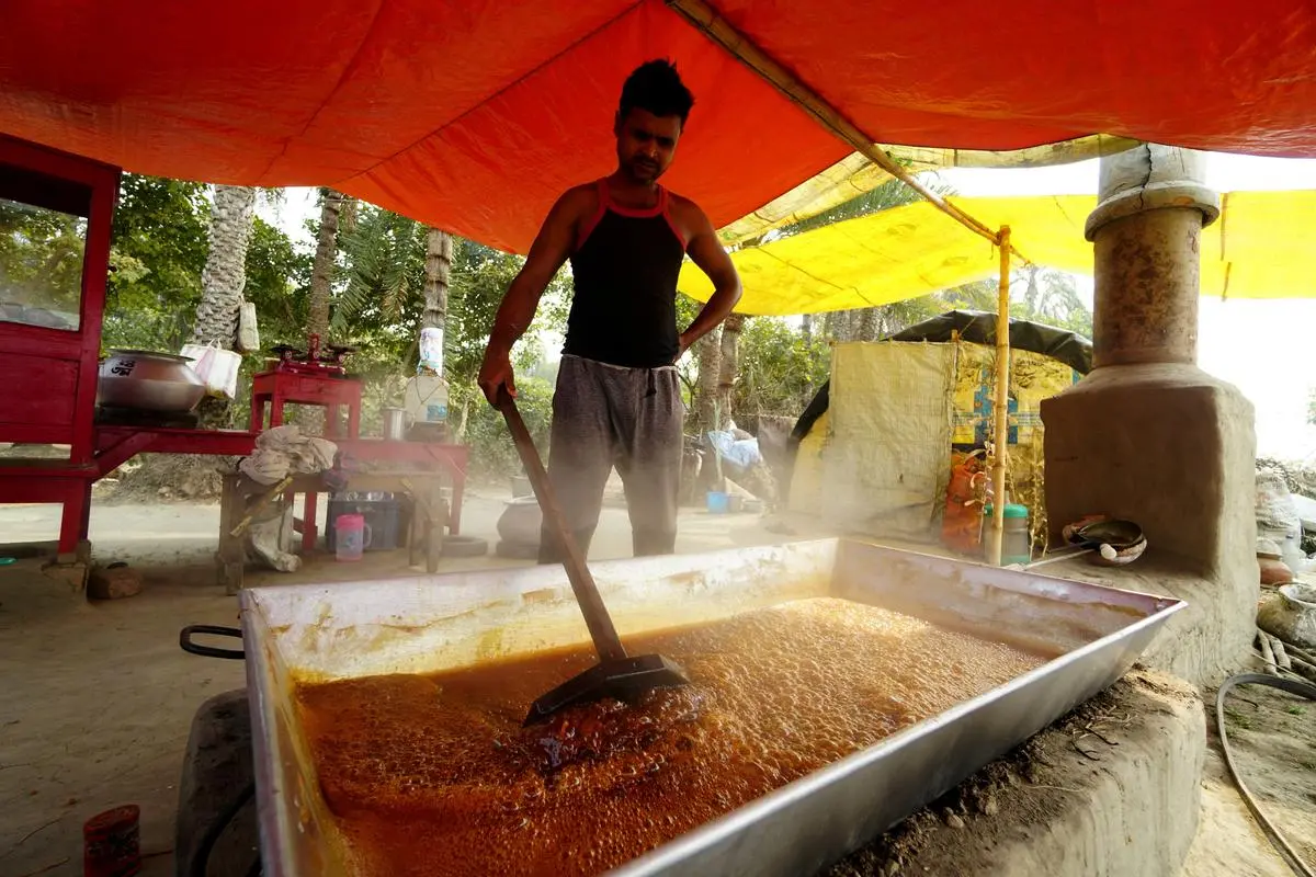 PHOTO ESSAY | A tapper’s tale: The story of Bengal’s nolen gur - Frontline