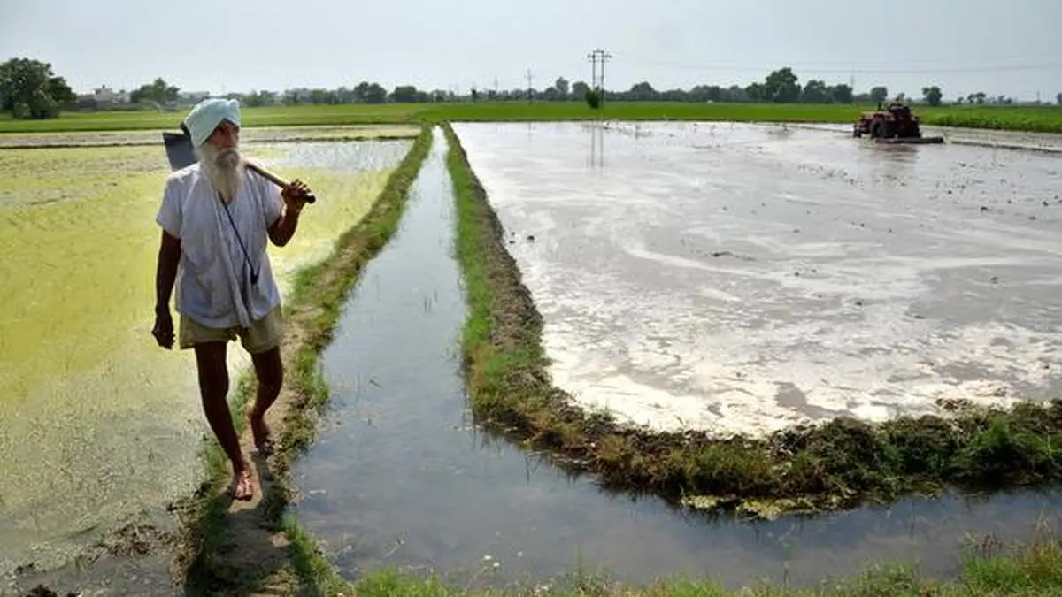 Punjab: Land struggle in the time of pandemic - Frontline